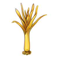 Mess Dress for the Welsh Guards Officer